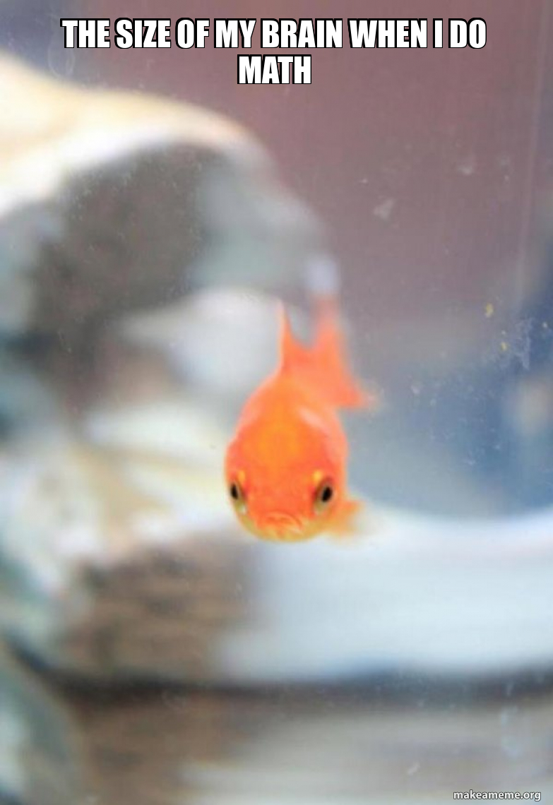 The size of my brain when i do math - Grumpy Fish Meme Generator