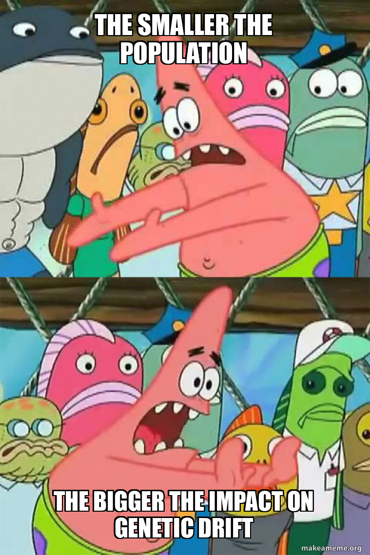 the smaller the population the bigger the impact on genetic drift ...