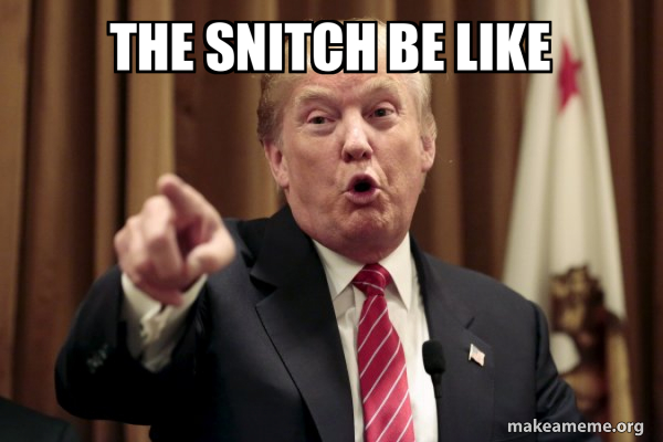 the snitch be like - Donald Trump Says Meme Generator
