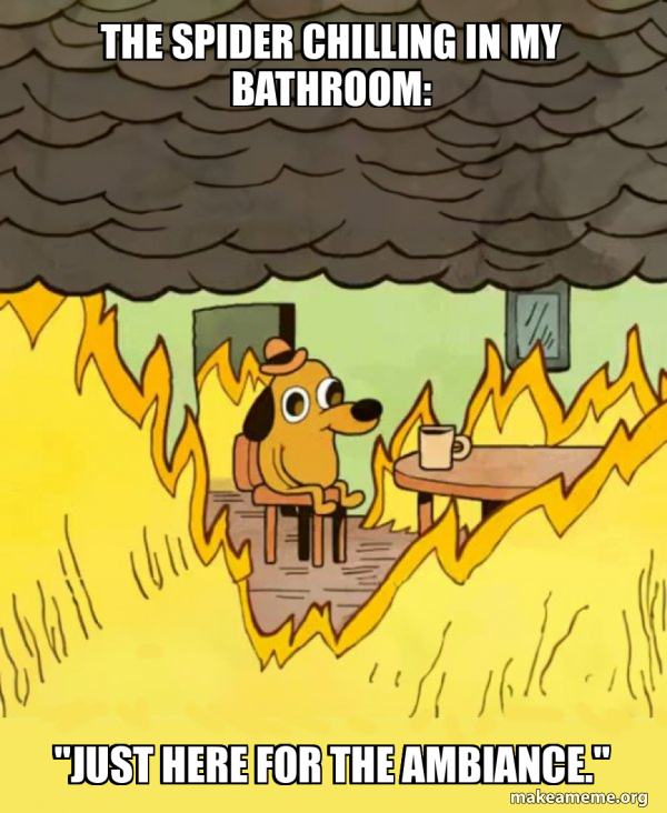 The spider chilling in my bathroom: "Just here for the ambiance ...