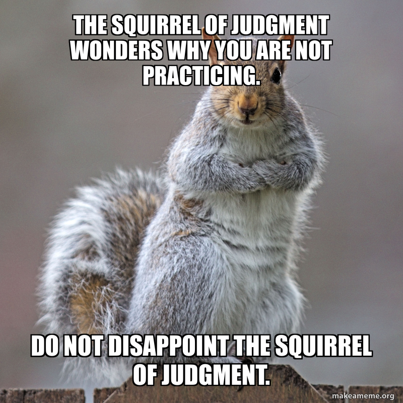 The SQUIRREL of judgment wonders why you are not PRACTICING. Do not ...