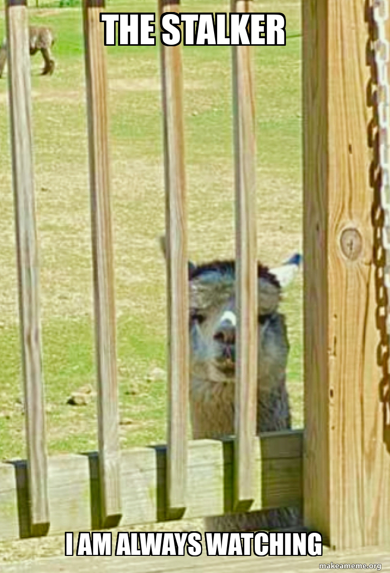 the stalker I am always WATCHING Meme Generator