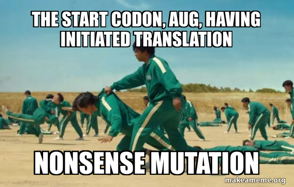 the start codon, AUG, having initiated translation nonsense mutation ...