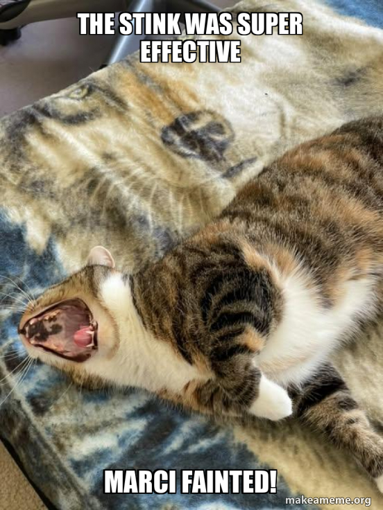 The stink was super effective Marci fainted! Meme Generator