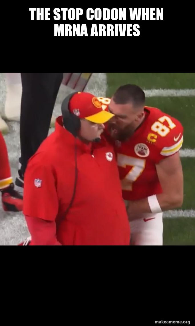 the stop codon when mrna arrives - Travis Kelce and Coach Meme Generator