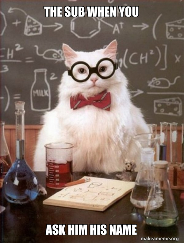 The sub when you ask him his name - Chemistry Cat Meme Generator