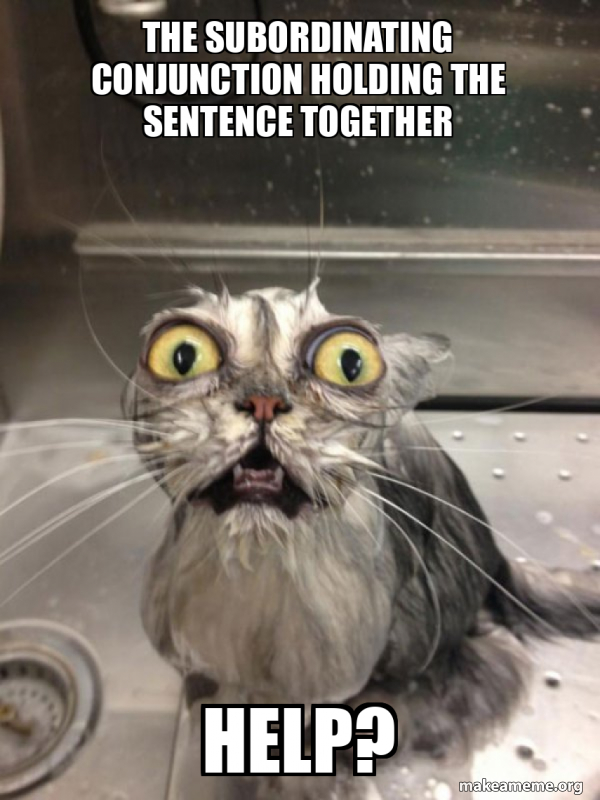 The subordinating conjunction holding the sentence together Help? - Cat ...