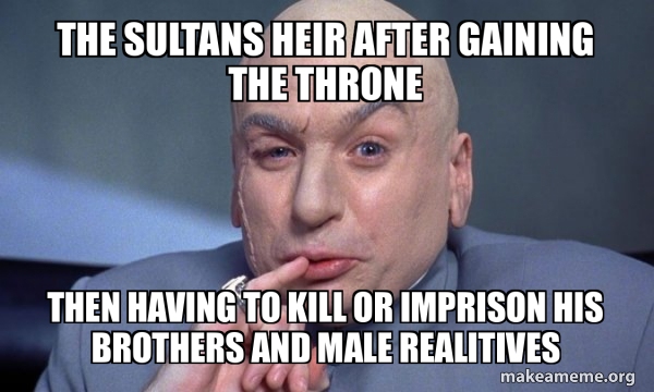 the sultans heir after gaining the throne then having to kill or ...