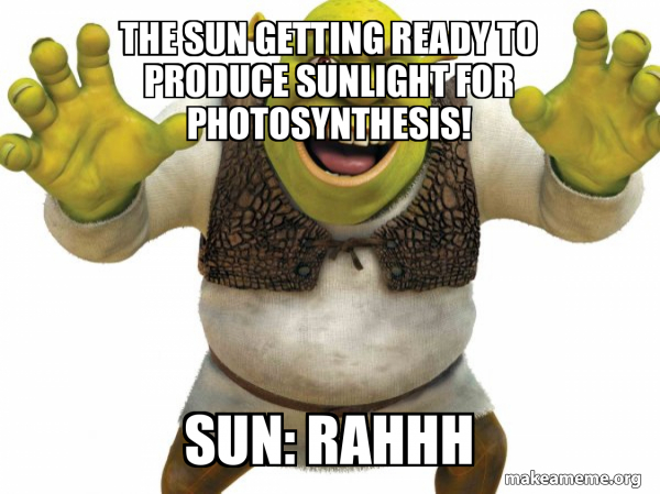 The sun getting ready to produce sunlight for photosynthesis! Sun ...