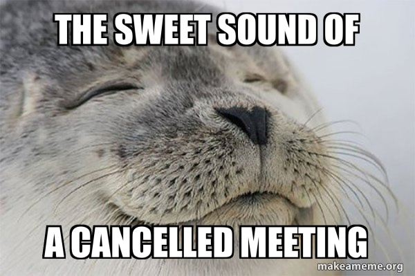 The sweet sound of a cancelled meeting - Satisfied Seal Meme Generator