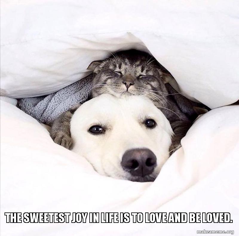 The sweetest joy in life is to love and be loved. Meme Generator
