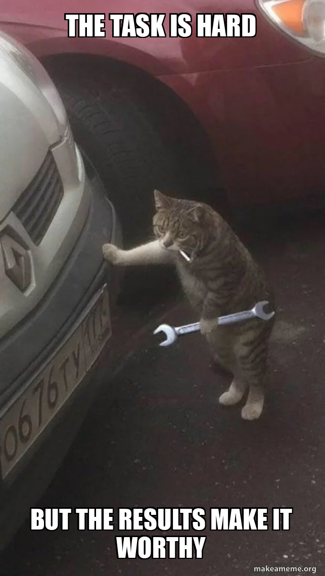 The task is hard But the results make it worthy - Mechanic Cat Meme ...