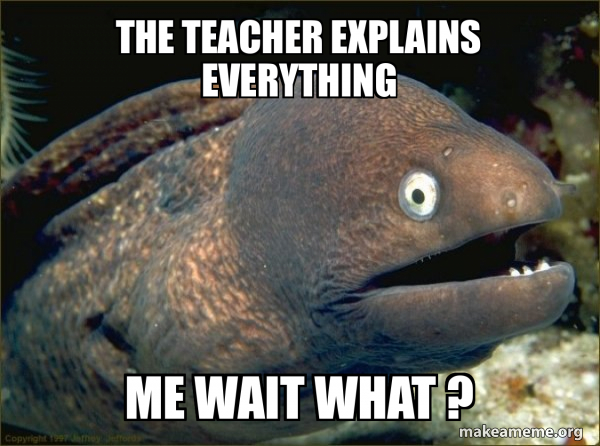 the teacher explains everything me wait what ? - Bad Joke Eel Meme ...