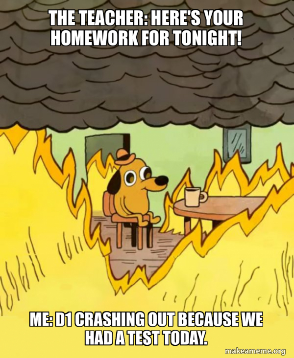 The teacher: Here's your homework for tonight! Me: D1 crashing out ...