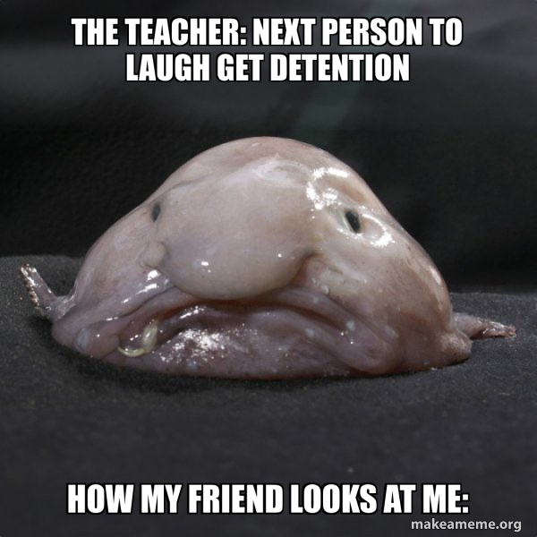 The teacher: next person to laugh get detention how my friend looks at ...
