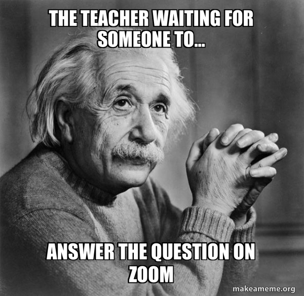 The Teacher Waiting for someone to... answer the question on zoom ...
