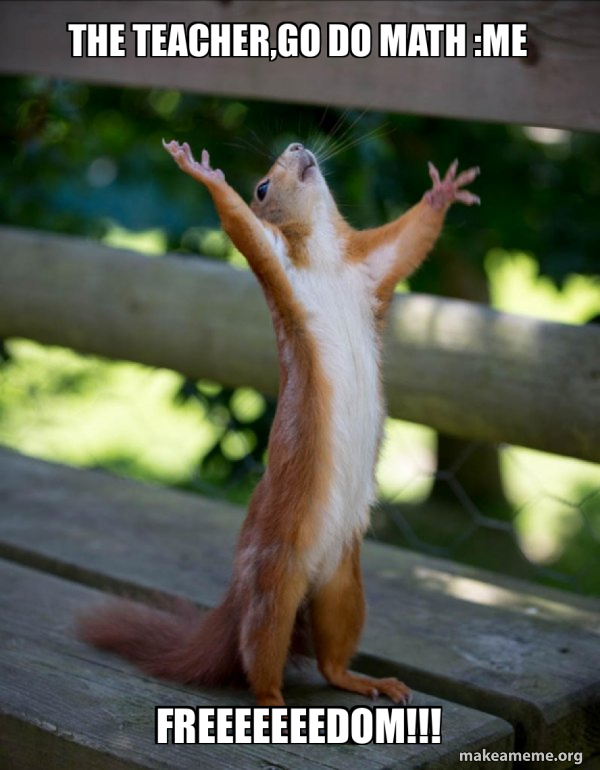 The teacher,go do math :me freeeeeeedom!!! - Happy Squirrel Meme Generator