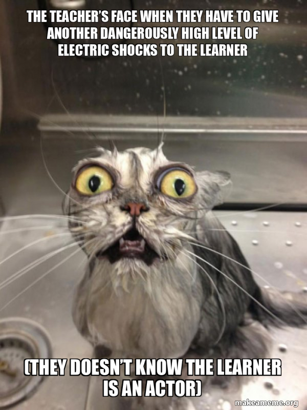 The teacher’s face when they have to give another dangerously high ...