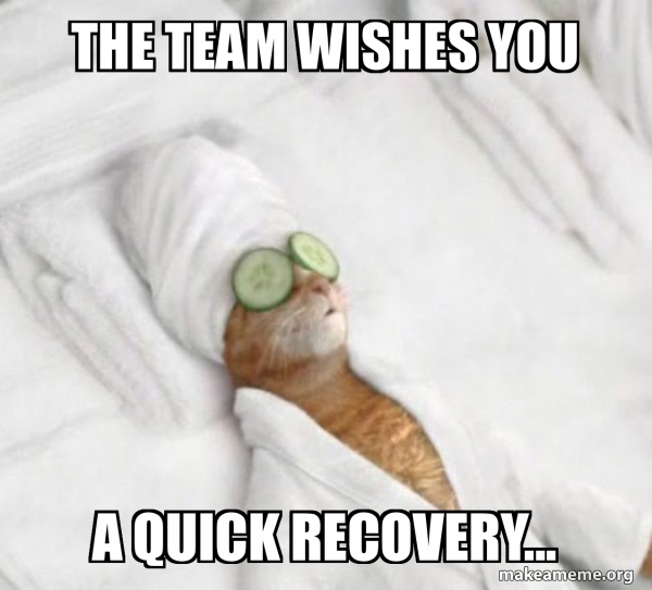 The team wishes you A quick recovery... - Pampered Cat Meme Meme Generator