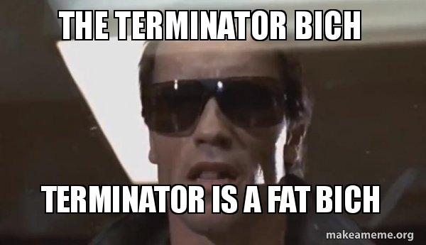 the terminator bich terminator is a fat bich - The Terminator Meme ...