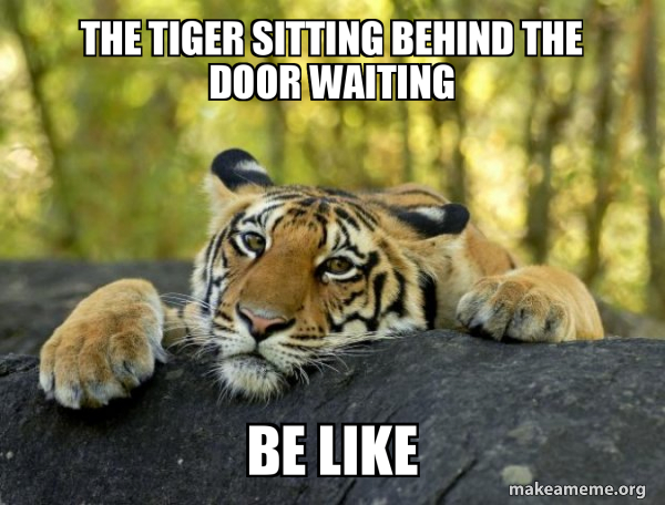 THE TIGER SITTING BEHIND THE DOOR WAITING BE LIKE - Confession Tiger ...