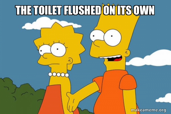 The toilet flushed on its own - Bart and Lisa Chat Meme Generator