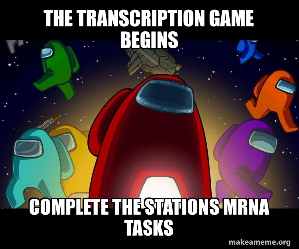 The Transcription Game begins complete the stations mRNA tasks - Among ...