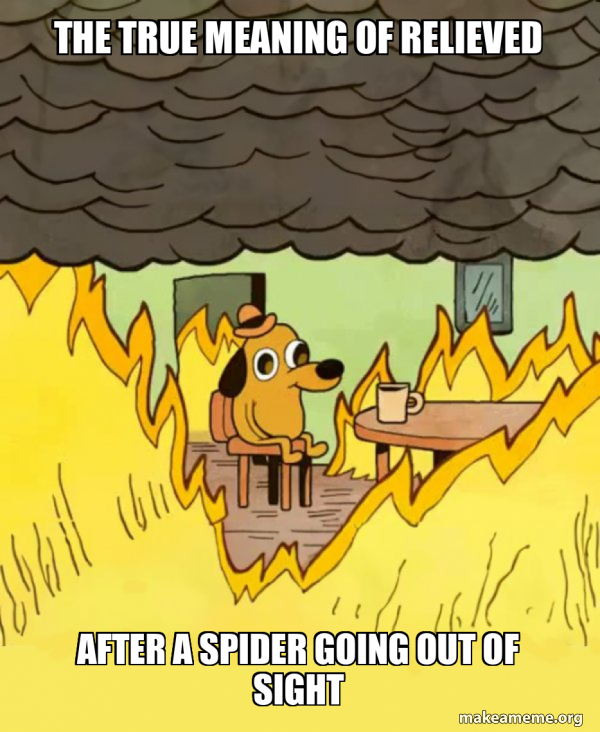 The true meaning of relieved after a spider going out of sight - This ...