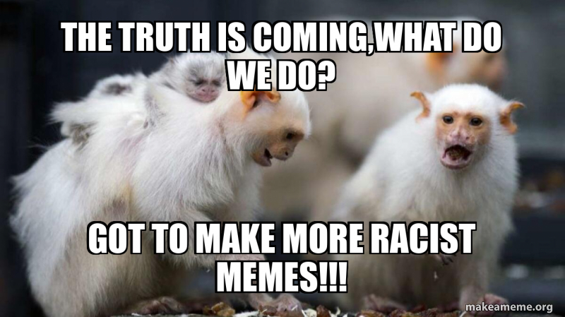 tHE TRUTH IS COMING,WHAT DO WE DO? GOT TO MAKE MORE RACIST MEMES ...