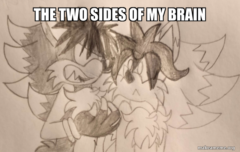 the two sides of my brain Meme Generator