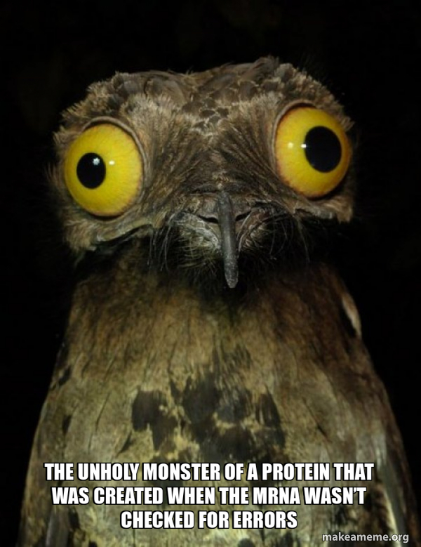 The unholy monster of a protein that was created when the mRNA wasn’t ...