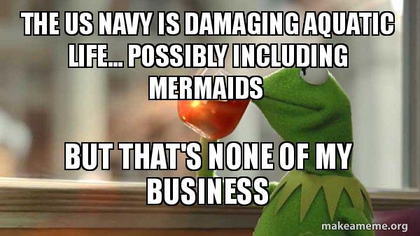 Kermit Navy Memes Official Kermit Frog Don't Bother Me I'm Retired