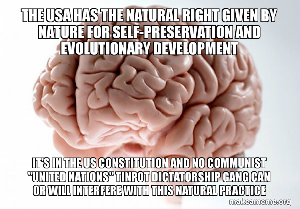 THE USA HAS THE NATURAL RIGHT GIVEN BY NATURE FOR SELF-PRESERVATION AND ...