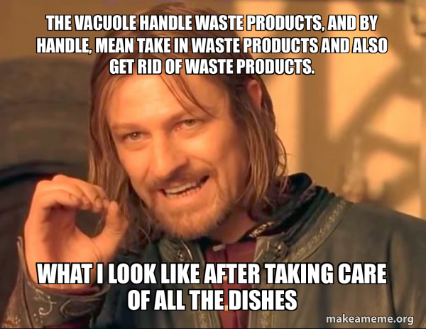 the vacuole handle waste products, and by handle, mean take in waste ...