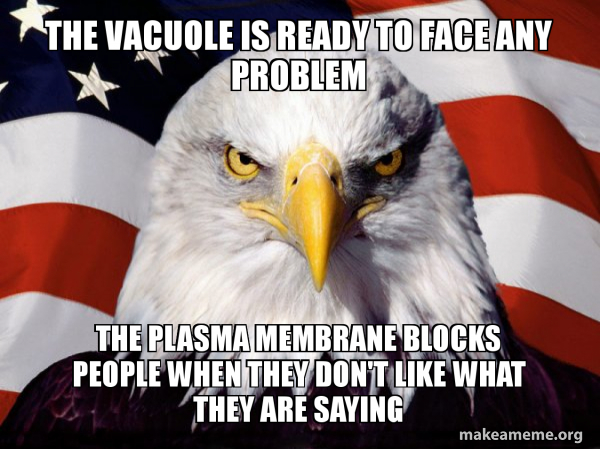 The vacuole is ready to face any problem The plasma membrane blocks ...