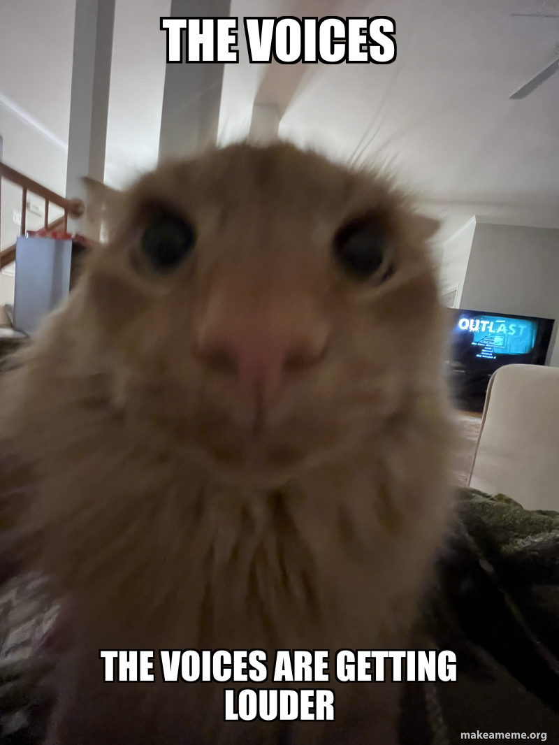 The voices The voices are getting louder Meme Generator