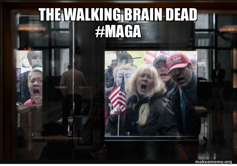 The walking brain dead #MAGA Meme Generator