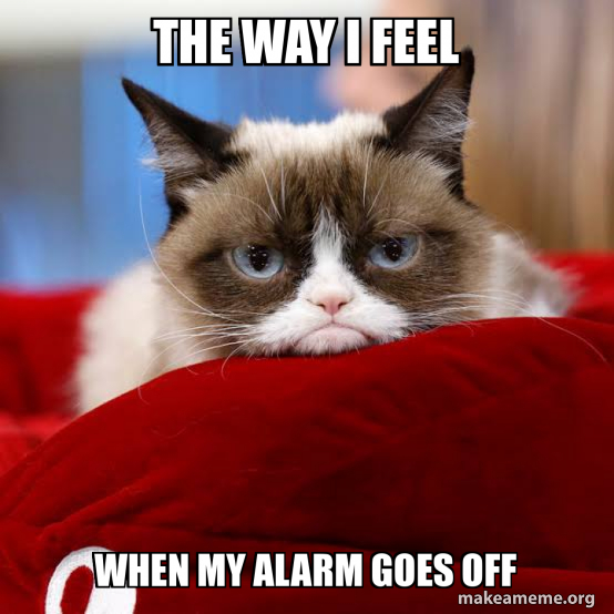 The way I feel When My Alarm Goes Off Meme Generator