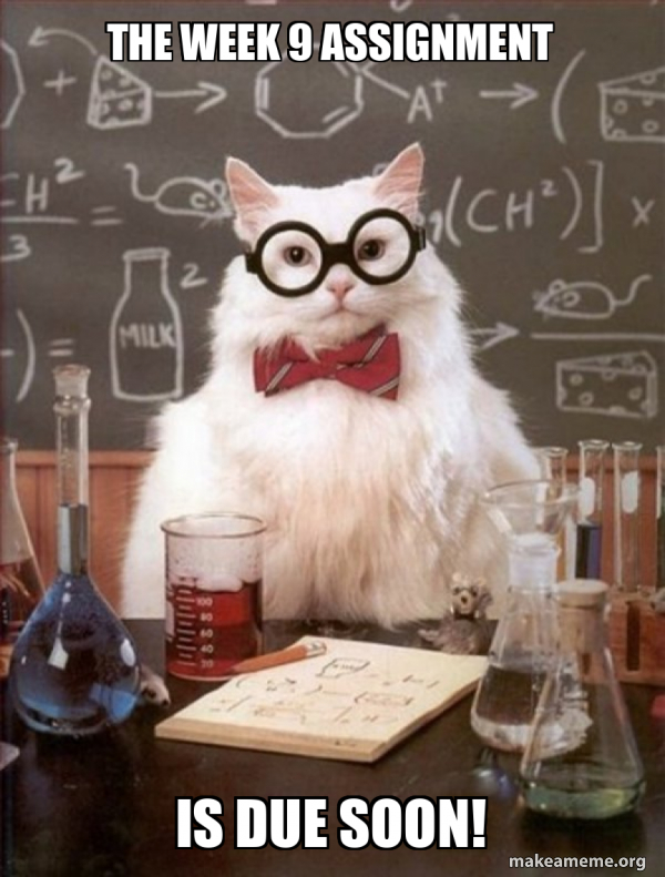The Week 9 Assignment is DUE soon! - Chemistry Cat Meme Generator
