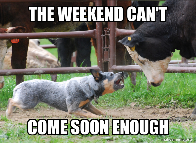 The weekend Can't Come soon enough Meme Generator