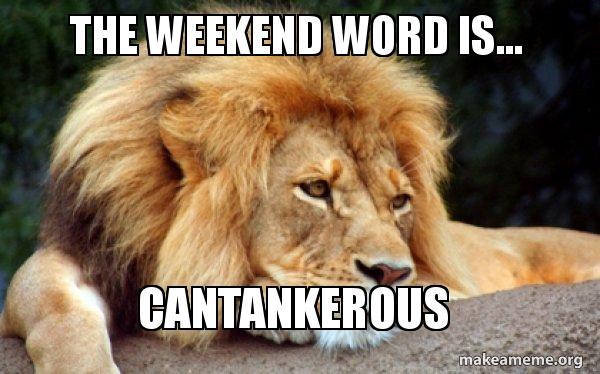 the weekend word is... cantankerous - Confession Lion Meme Generator