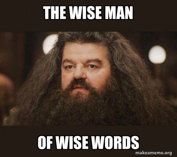 the wise man of wise words - Hagrid - I should not have said that Meme ...