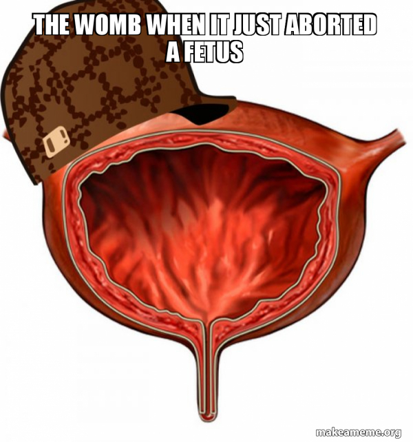 The womb when it just aborted a fetus - Scumbag Bladder Meme Generator