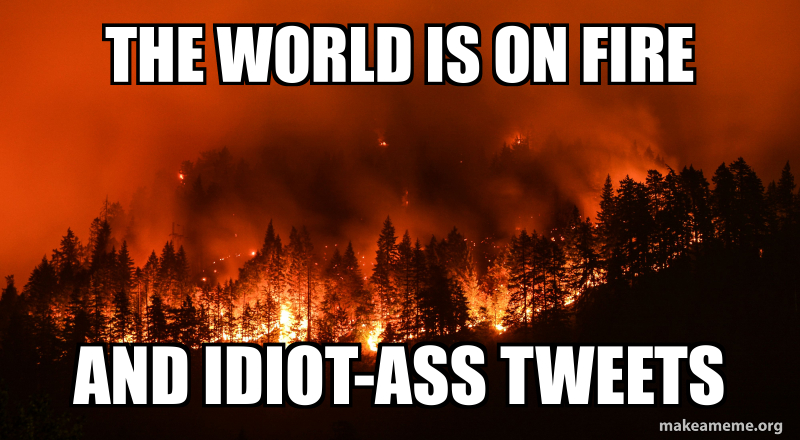 the world is on fire And idiot-ass tweets Meme Generator