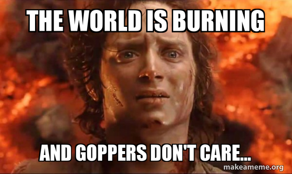 The world is burning and goppers don't care... - Frodo it's over it's ...