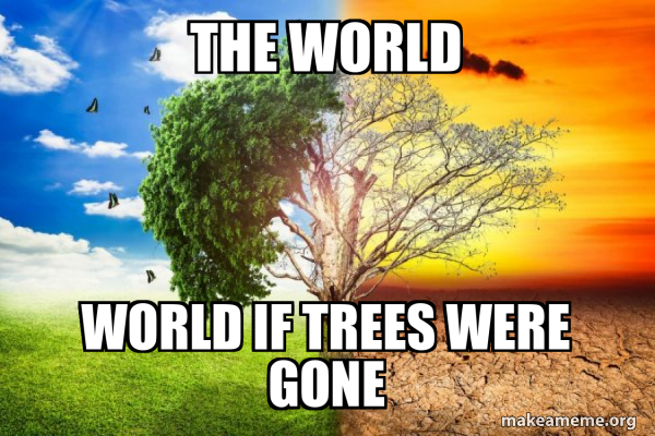 THE WORLD WORLD IF TREES WERE GONE - Climate Change / Global Warming ...