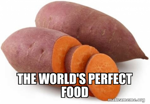 the world's perfect food Meme Generator