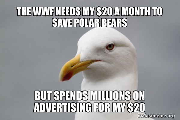The WWF needs my $20 a month to save polar bears But spends millions on ...