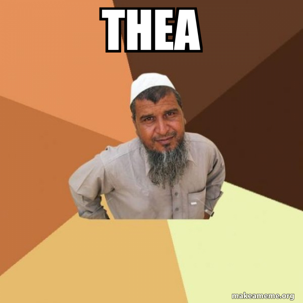 thea - Ordinary Muslim Man Meme Generator