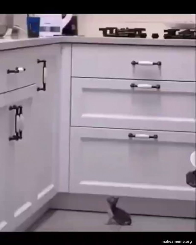 - TheAbbie: Basically... He Meme Generator